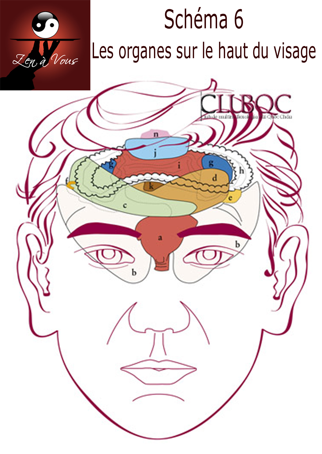 Les principaux schémas du Dien Chan | Zen à Vous